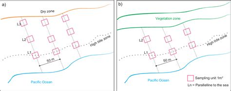 Figure 2 From First Approach To Microplastics Occurrence In Sandy