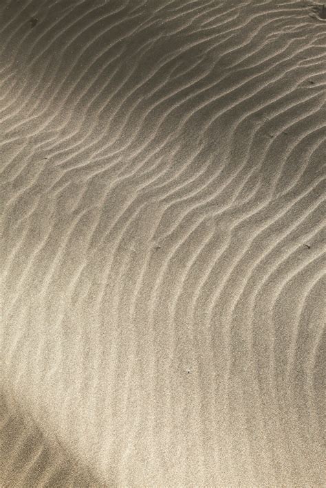 Exposure And Response Prevention Erp Triangle Area Psychology Clinic