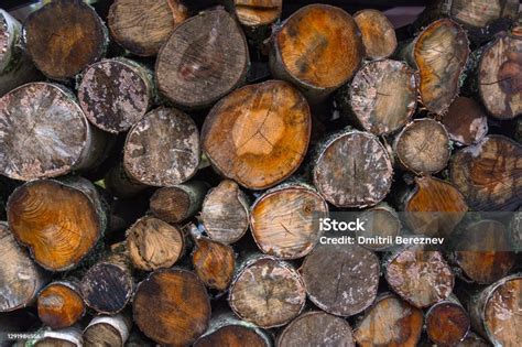 다양한 나무 통나무가 차양 아래 행에 쌓여 있습니다 일부 로그는 금형으로 덮여 있습니다 갈색에 대한 스톡 사진 및 기타 이미지 갈색 거친 겨울 Istock