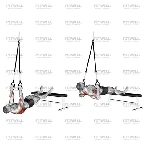 Suspender Wide Grip Inverted Row Exercise Guide Video Techniques