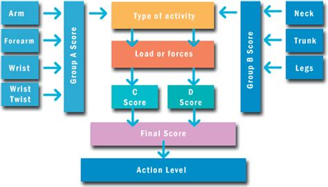 Figure 1 From Integrating Human Centric Simulations In Educational