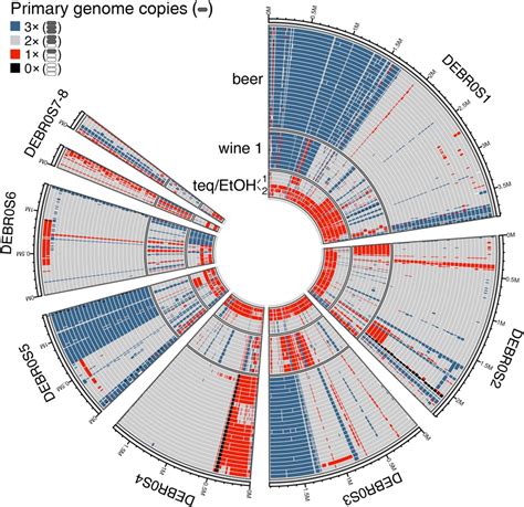 Different Trajectories Of Polyploidization Shape The Genomic Landscape
