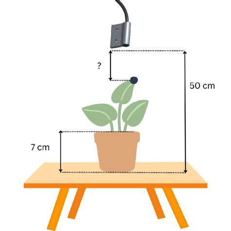 2 Measuring Plants Height By Triangulation Method Download
