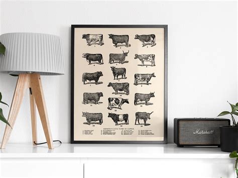 Breeds Of Cow Printable Types Of Cattle Digital Download Farmhouse