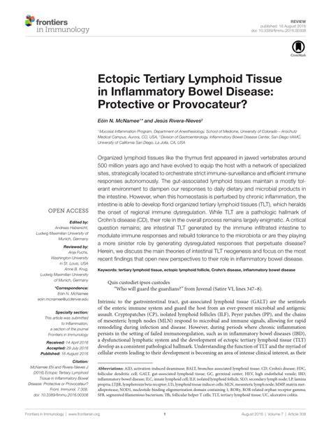 Pdf Ectopic Tertiary Lymphoid Tissue In Inflammatory Bowel Disease