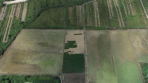 贵州网络广播电视台