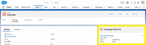 Ways To Add Leads To Salesforce Campaigns As Campaign Members Salesforce Ben