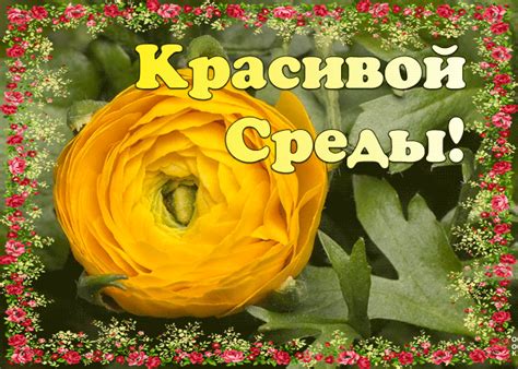 Оригинальная открытка со средой | Открытки Онлайн