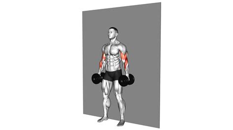 Dumbbell Alternate Hammer Strict Curl Video Exercise Guide And Tips Workout Guru