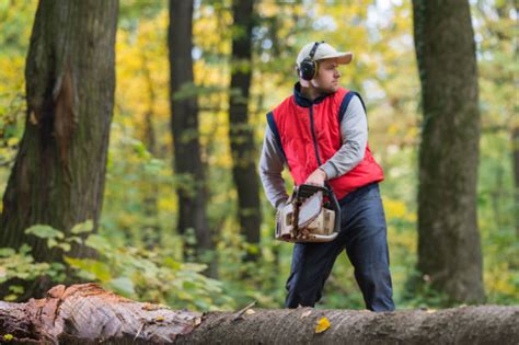 The Stihl Chainsaw Master Guide What You Need To Know