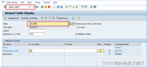Sap事务码：se11 Se16n在数据库表数据管理中的应用与删除操作 Csdn博客