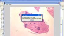 Introduction To MATLAB With Image Processing Toolbox MATLAB