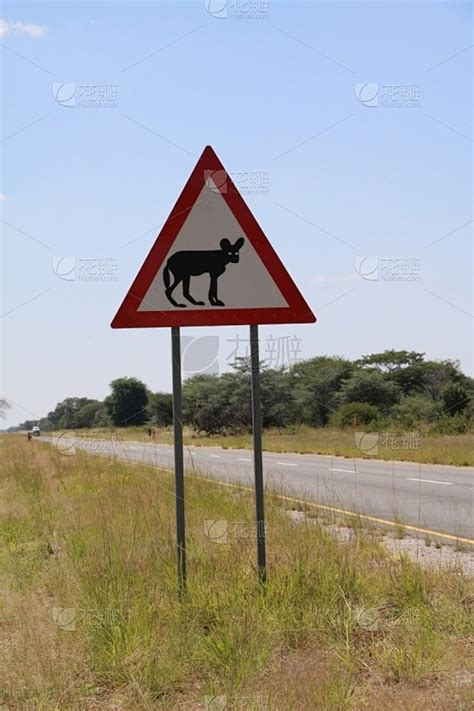 纳米比亚警告标志狗交通标志非洲鬣狗蝠耳狐非洲大耳小狐澳洲野狗非洲野狗