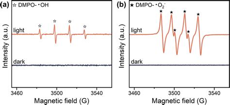 Epr Spectra Of A Dmpo ·oh And B Dmpo ·o2⁻ Generated Over α Mno2 Under