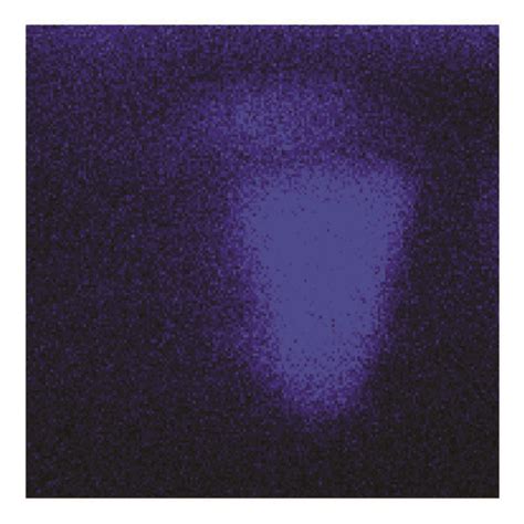 sem images sio2 ni si nanosystems surface a b cross sections c