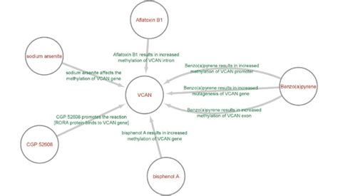 Vcan Targeted Drugs From Ctds Gene Drug Interaction Network The Download Scientific Diagram