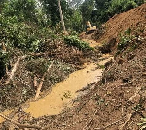 Illegal Chinese Miners Storm Jimira Forest Reserve With Over 60 Excavators