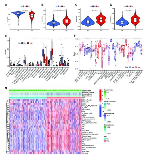Glioma Samples With Different Risk Score Possess Different Immune Download Scientific Diagram
