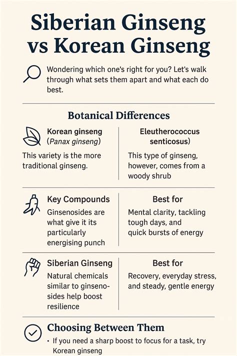 Siberian Ginseng Vs Korean Ginseng Key Differences And Benefits Body Siberian Ginseng Vs Korean Ginseng Key Differences And Benefits Body