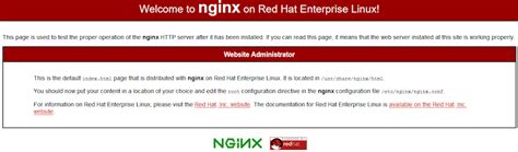 How To Install Nginx On AlmaLinux 9 Idroot