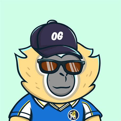 Nillion Pioneering Blind Computation On Chain Nillion Overview Blocmates