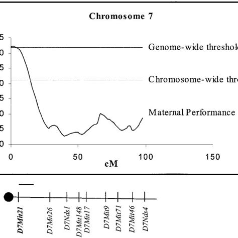—lod plot of chromosome 2 the chromosome wide significance threshold