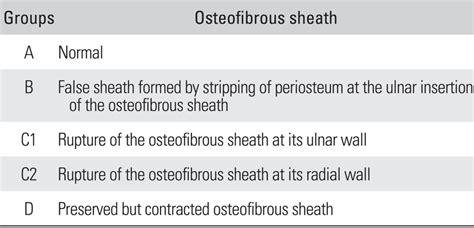 Classification Of Extensor Carpi Ulnaris Osteofibrous Sheath Lesions Download Scientific Diagram