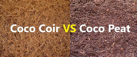 Coco Peat Vs Coco Coir Earth Scape