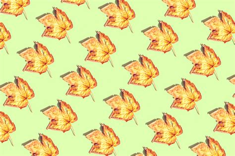 녹색 파스텔 햇볕이 잘 드는 배경에 말린 잎으로 만든 창조적 인 패트렌 가을 가을 추수 감사절 개념 플랫 레이 상단보기 미니멀