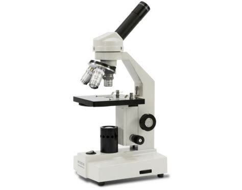 Microscope Labeling Honors Bio Quiz