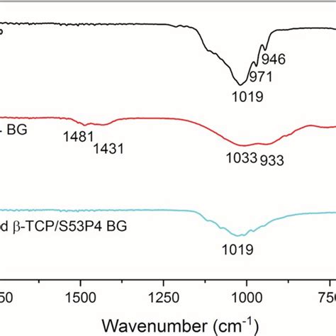 Rheological Behavior Of β‐tcp And β‐tcp S53p4 Bg Inks A Viscosity