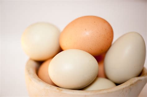 Is There A Relationship Between The Colour Of The Hen And The Eggs They