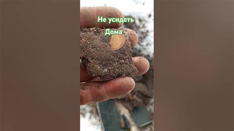 коп монет Metaldetecting находкисметаллоискателем коп шурф