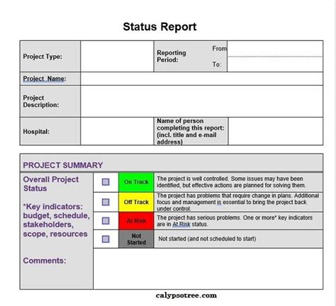 Status Report Template Word Project Status Report Status Beginning Writing