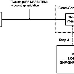 Flow Chart Of SNP SNP Interaction Cross Evaluation