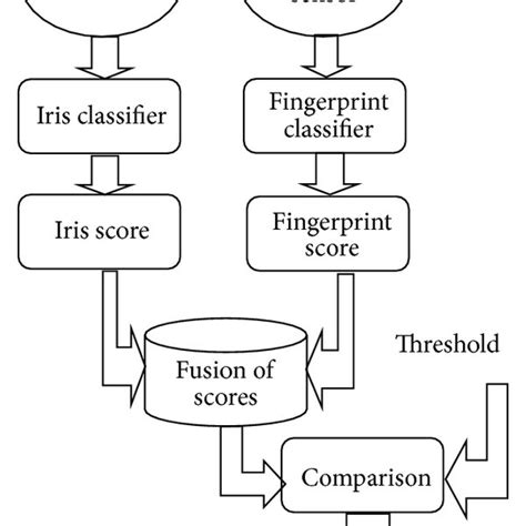 Score Level Fusion Using Iris And Fingerprint Biometric Modalities Download Scientific Diagram