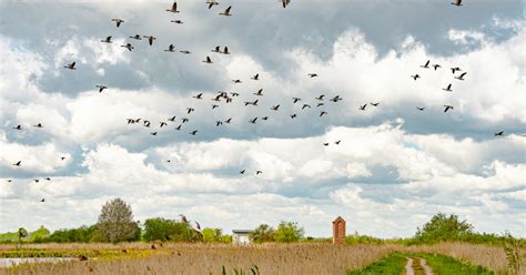 A Step By Step Guide To Successfully Migrating To The Cloud Cortex