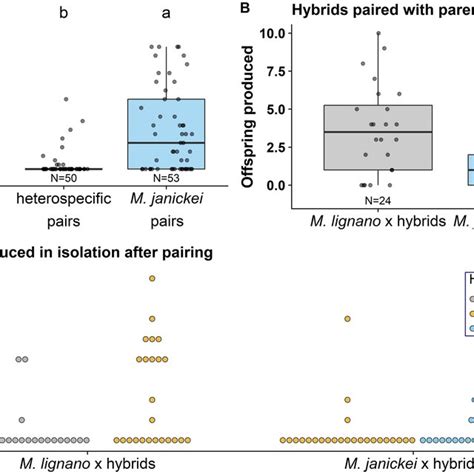 Boxplots Of The A Copulation Latency B Average Copulation Download Scientific Diagram