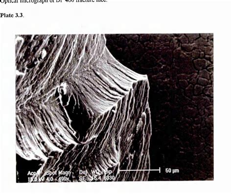 Scanning Electron Micrograph Of Dp 460 Fracture Face