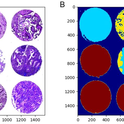 Example For Testing Dataset Dataset 2 Example Of Human Labelled Download Scientific Diagram Example For Testing Dataset Dataset 2 Example Of Human Labelled Download Scientific Diagram