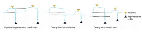 Top 10 Tips For High Quality Spr Data Spr Guide