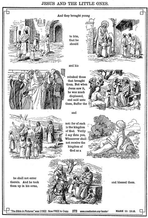 LiturgyTools.net: Pictures for the 27th Sunday of Ordinary Time, Year B