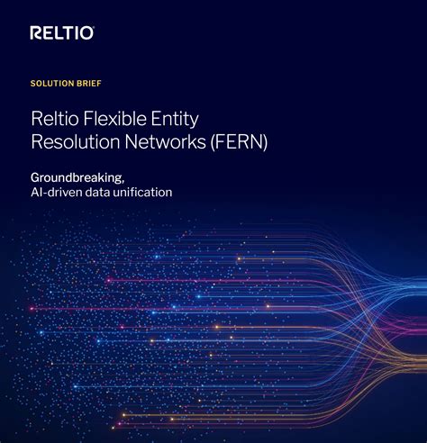 Reltio Flexible Entity Resolution Networks Fern Groundbreaking Ai