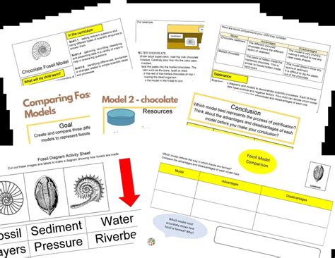 Year 3 Fossils STEM Science Fossilisation Process Mary Anning Hands On Education