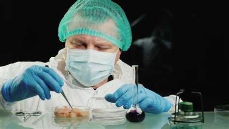 Premium Stock Video Technician Checks The Quality Of The Chicken Meat In The Lab
