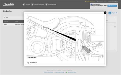 Diagnostic Trouble Codes Screenshot Swedish Autodata Group Uk