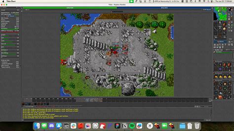 Back To Tibia Any Quintera Rookgaardians Rrookgaard