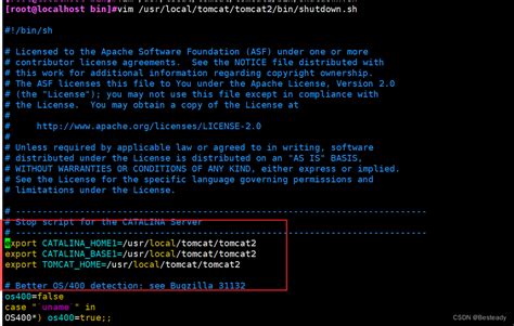 tomcat多实例和负载均衡动静分离 csdn博客