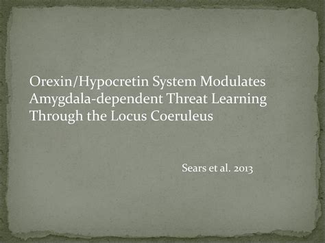 Orexin And Fear Memory Luke Ppt Download