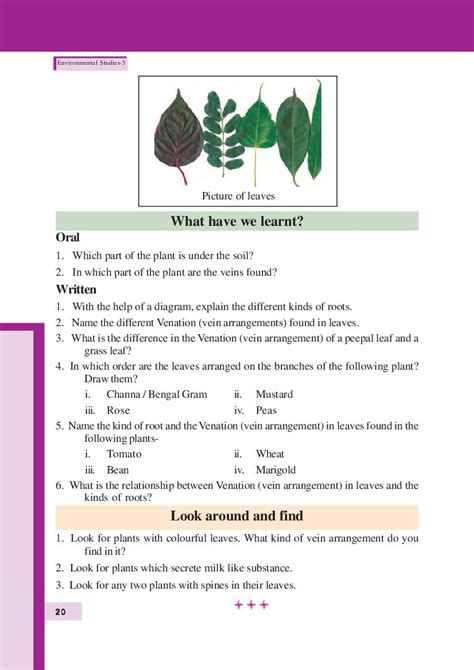 Cgbse Class 5th Evs Book Pdf In English Medium Download Online